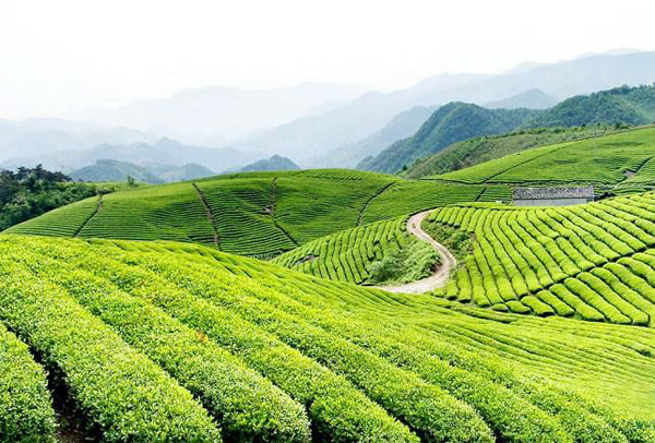 Fujian Province | China & Asia Cultural Travel