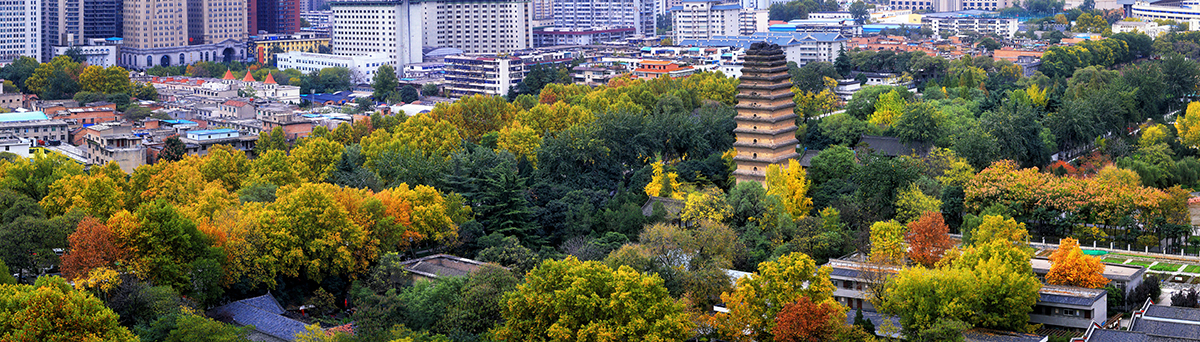 Small Wild Goose Pagoda | China & Asia Cultural Travel
