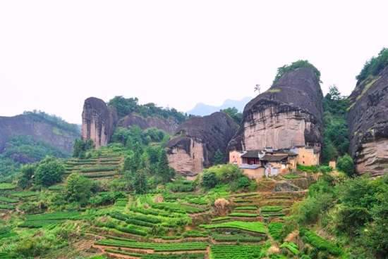 Mount Wuyi | China & Asia Cultural Travel
