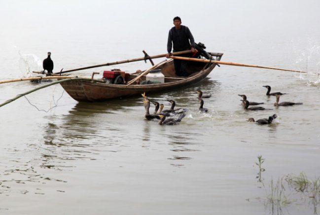 Lake Poyang | China & Asia Cultural Travel