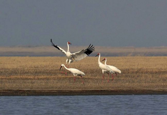 Lake Poyang | China & Asia Cultural Travel