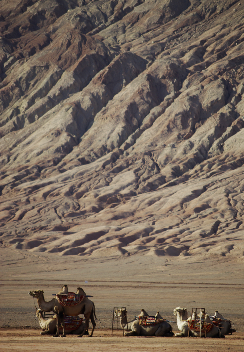 Turpan Karez Water System | China & Asia Cultural Travel