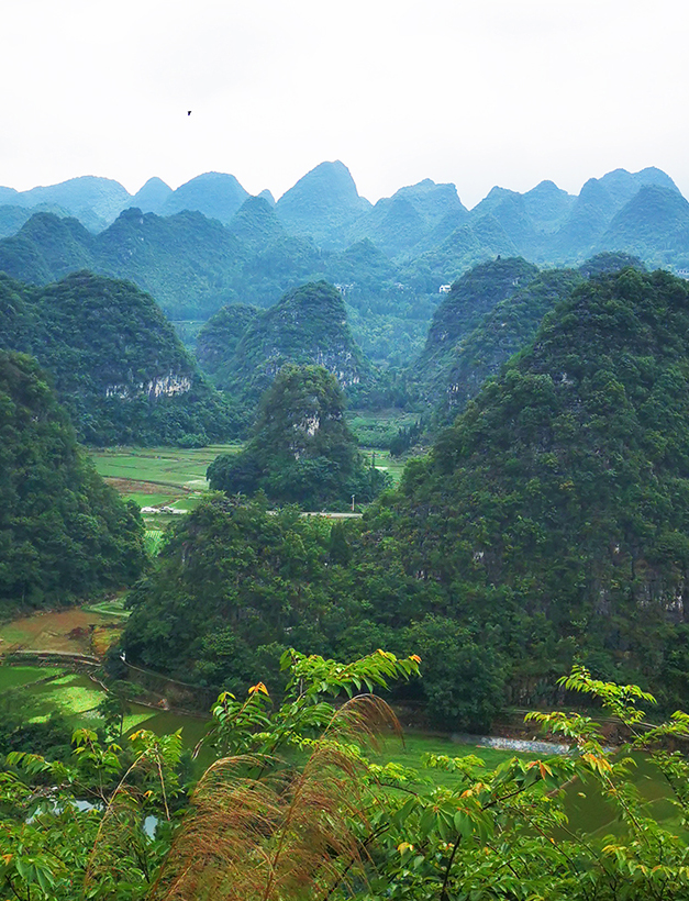 Forest of Ten Thousand Peaks | China & Asia Cultural Travel